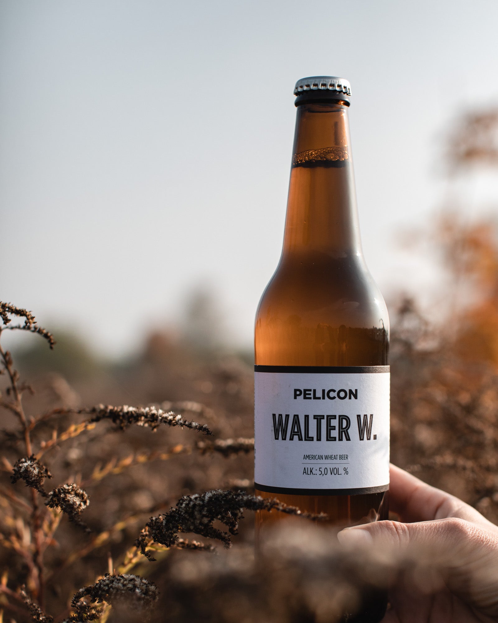 Walter Wheat – Pivovarna Pelicon